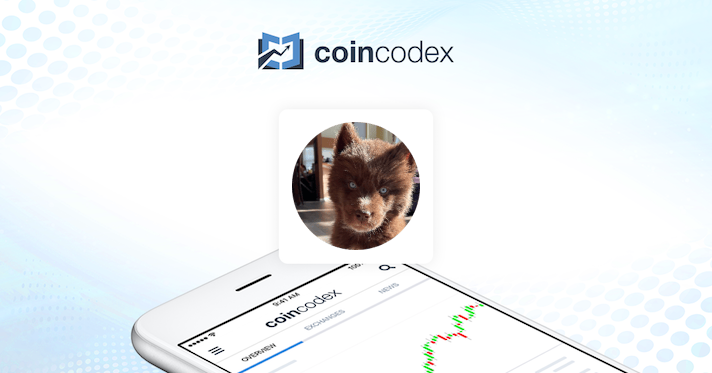 Red Siberian Husky Exchanges - Buy, Sell & Trade KOVU | CoinCodex