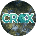 CROX Technology (CTOX) Previsioni: 2025, 2026–2030 | CoinCodex
