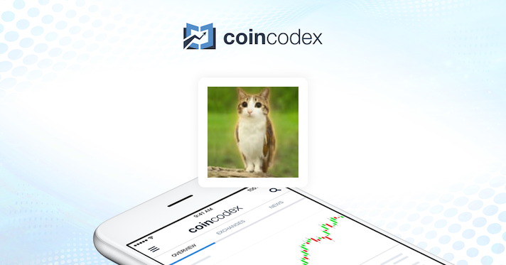 Meowl The Cat Price: Live MEOWL/USD Rate, Market Cap & MEOWL Price ...