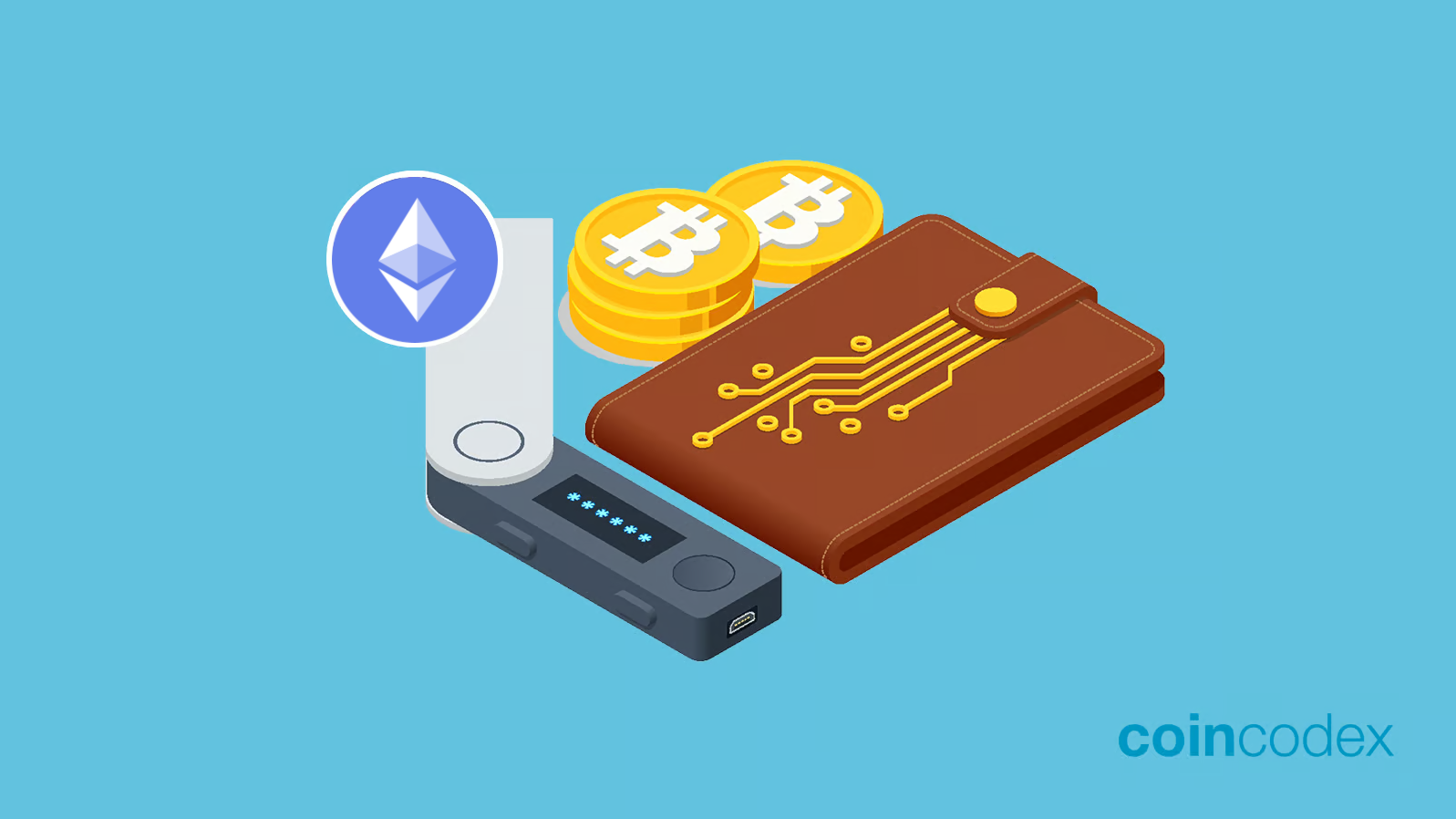 11 Best Crypto Wallets for 2026 | CoinCodex