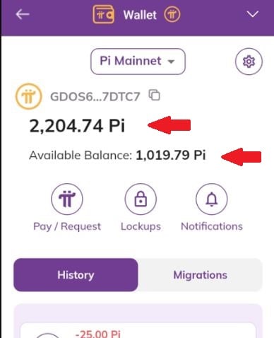 How to See Your PI Coin Lockup Period on Pi Network? | CoinCodex