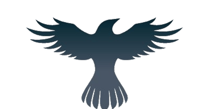 Raven Protocol (RAVEN) Kurs Prognose 2025, 2026–2030 | CoinCodex