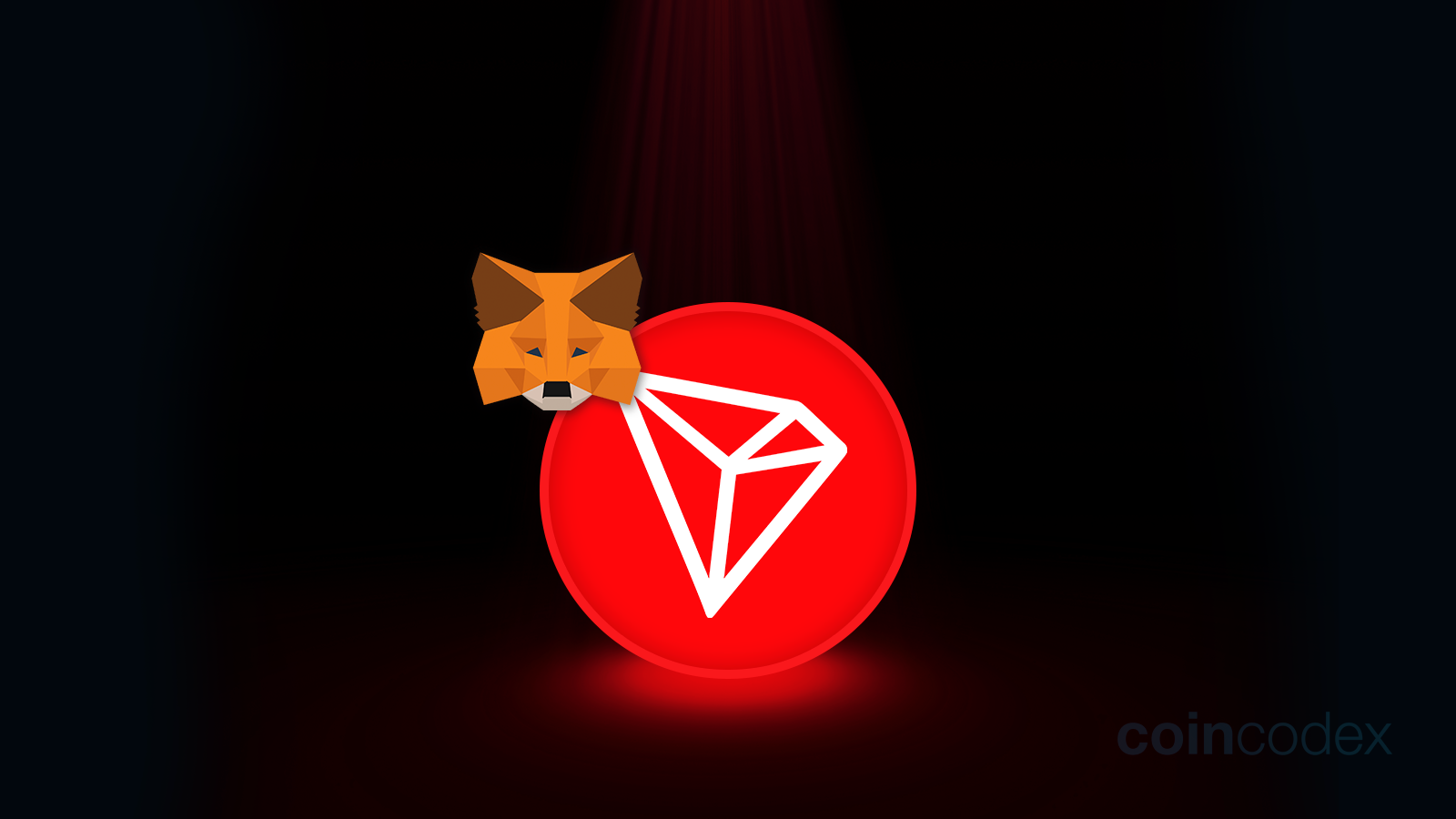 How to Add Tron Network (TRC20) to MetaMask? | CoinCodex