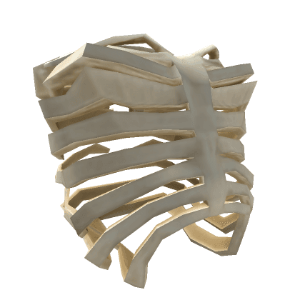 Skeleton Ribcage (for woman rig) Item Code 🎁 | RobloxDEX