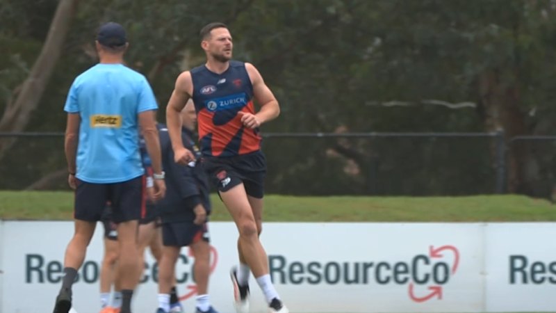 Steven May retires from AFL ahead of 2026 season | The Daily Perspective