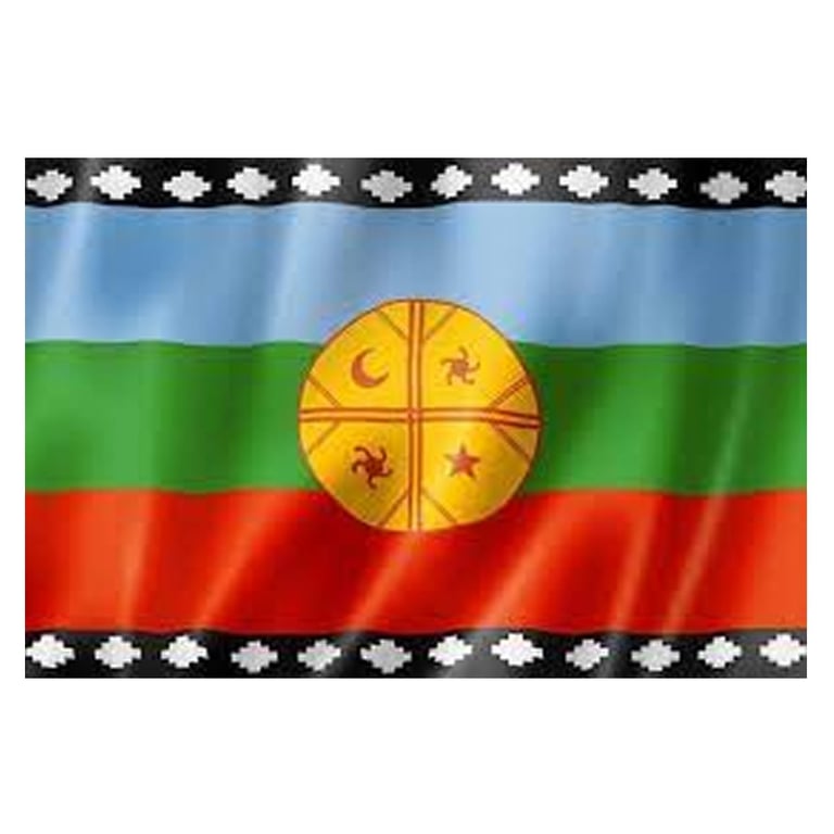 FELIZ Bandera Mapuche Pueblo Movimiento Mapuche Bandera Chile ...