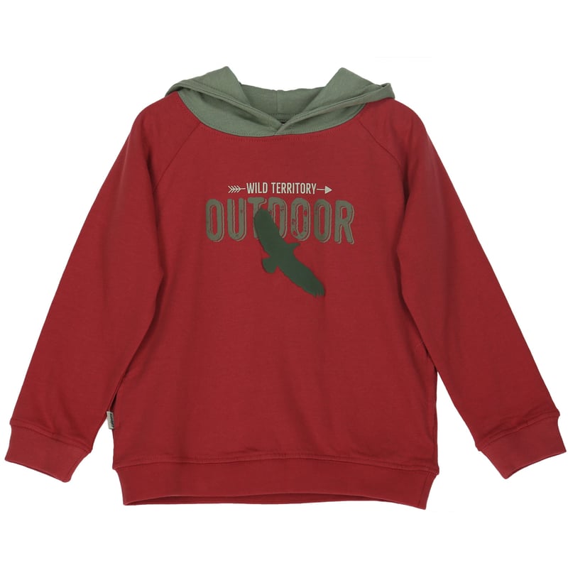 CALPANY Polerones Niño Wild Territory Rojo CALPANY | falabella.com
