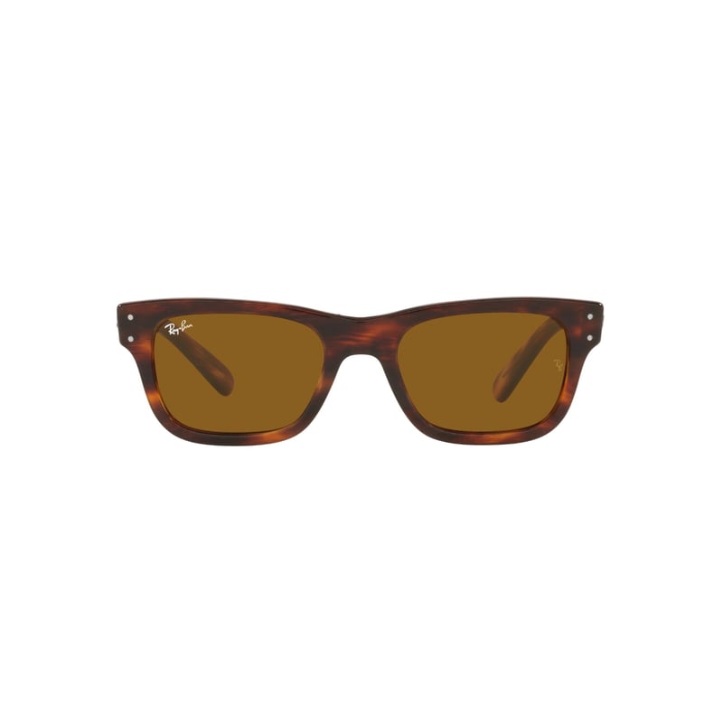 RAY BAN Lentes de Sol Burbank Marrón | falabella.com