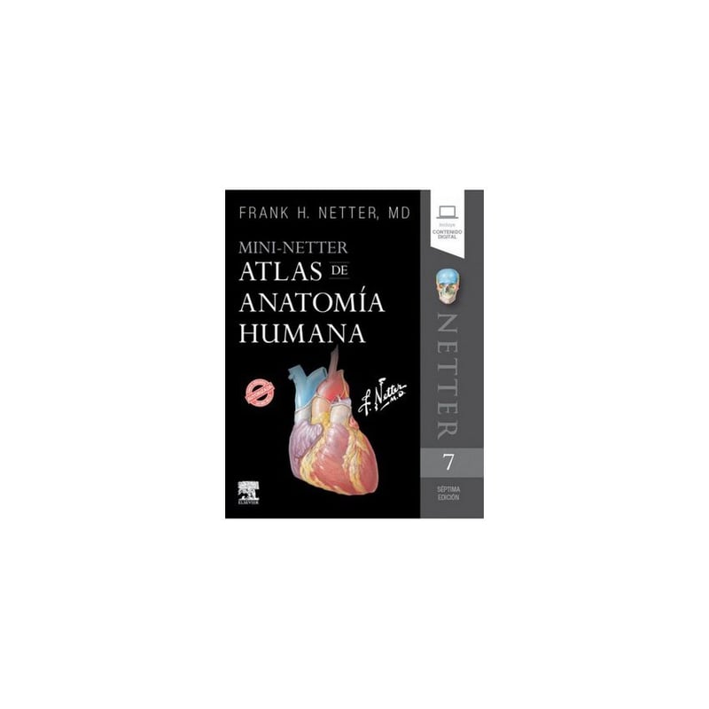 ELSEVIER Mini Netter. Atlas De Anatomia Humana 7º Edicion | falabella.com