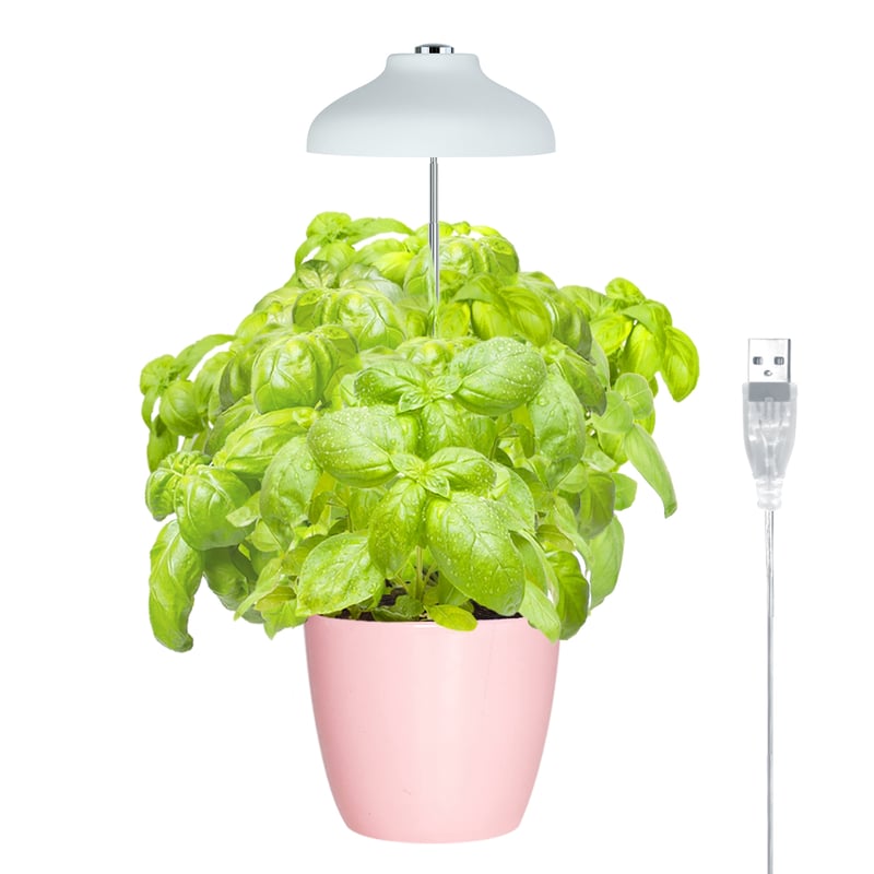 GROWLED LUZ Led cultivo indoor para PLANTAS interior GrowLED ...