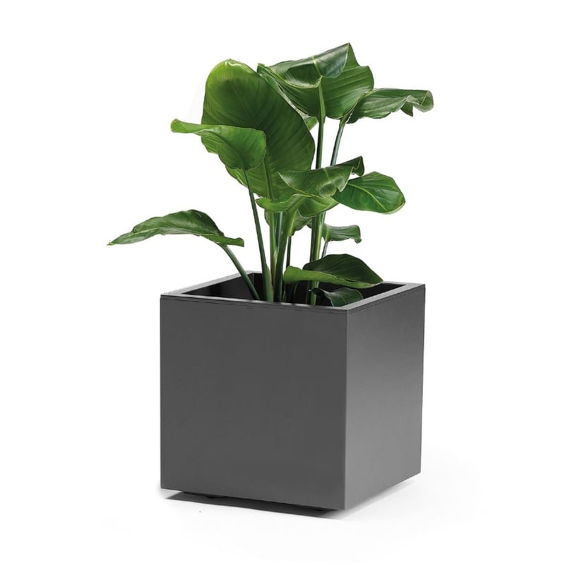 EURO3PLAST Macetero de plástico reciclado con reserva de agua 40x40 cm ...