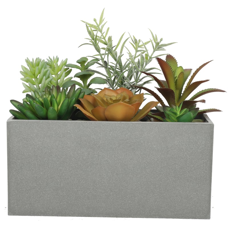 Suculentas 20 cm con macetero rectangular Vadell Home | Sodimac Chile