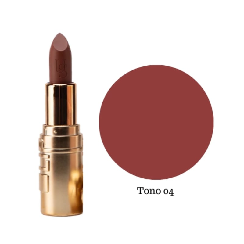 USHAS Labial en Barra Matte Ushas T04 | falabella.com