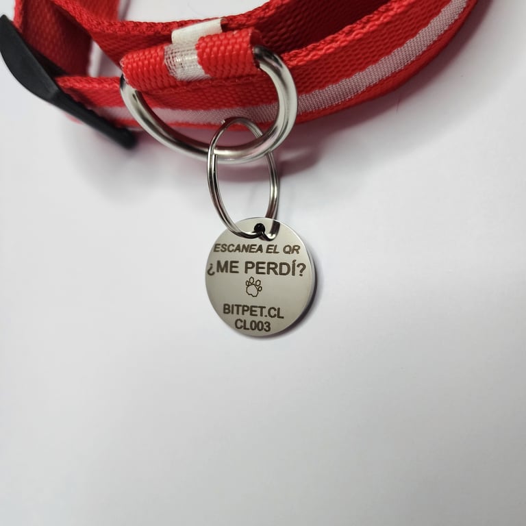 Placa Perros y Gatos Identificación QR Inteligente | Sodimac - Falabella