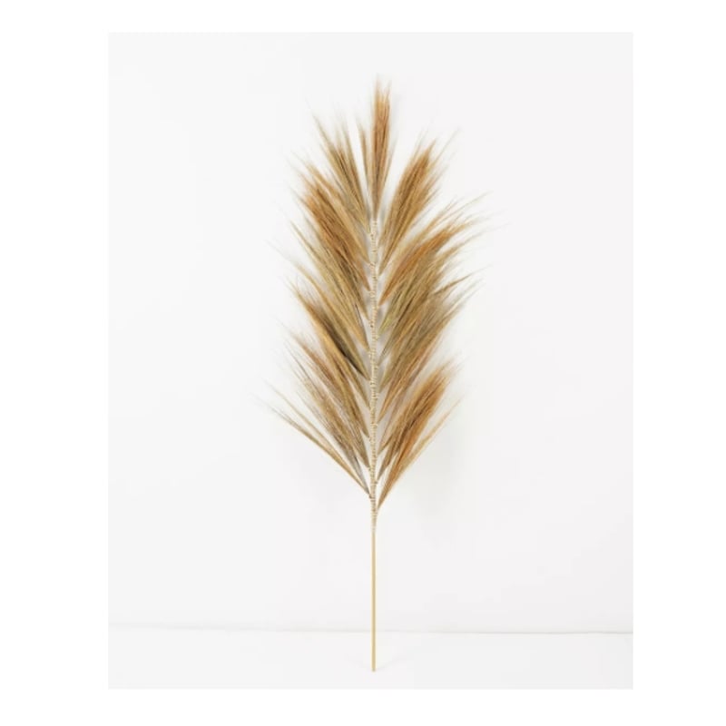 GENERICO Cola De Zorro Natural Café 110 Cm | falabella.com