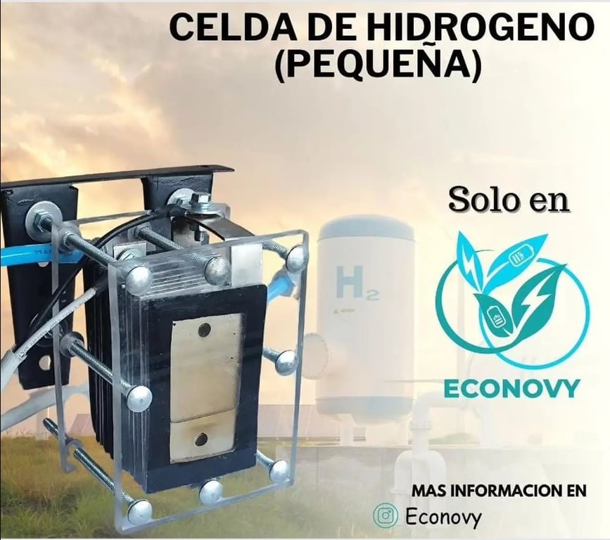 GENERICO Celda Seca Electrolisis Pequeña | falabella.com