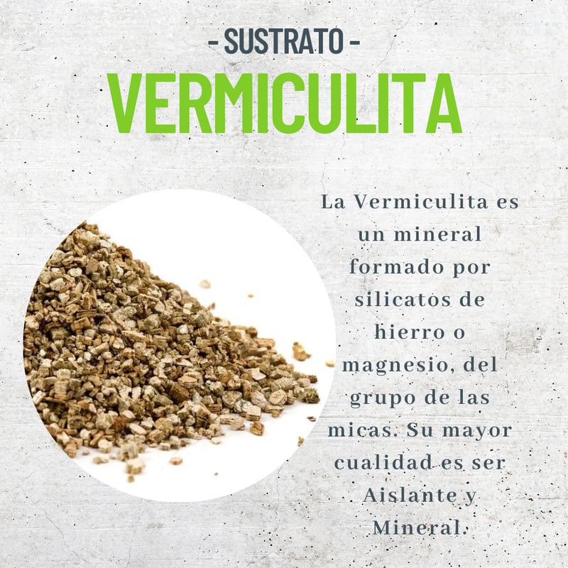 1880 SUSTRATO VERMICULITA MEDIANA 5 LTS | falabella.com