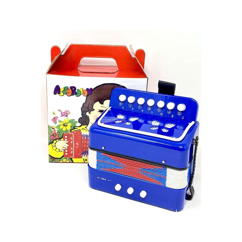 ARTIDIX Acordeón Infantil Azul de Plástico Mini Pequeños Músicos ...