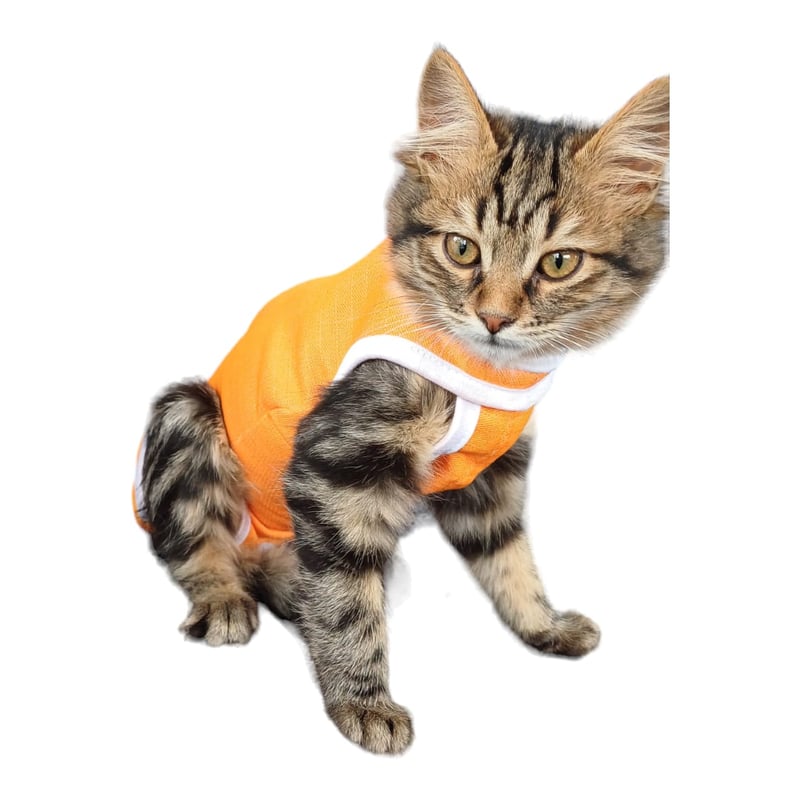 Body Cobre Perros Y Gatos Talla 5 de 7.5 a 10 Kg | Sodimac - Falabella