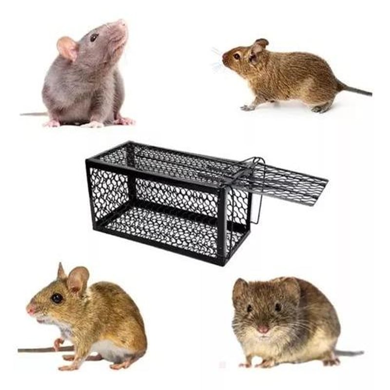 Trampa Automática para Ratones y Lauchas - Captura Efectiva | Sodimac Chile