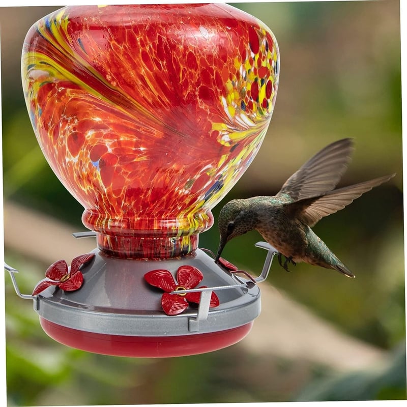 Bebedero y Comedero De Colibrí | Sodimac - Falabella