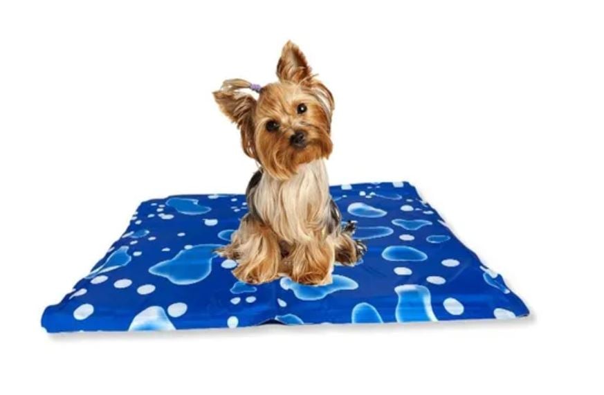 Manta Refrescante Perro Cooling Mascotas | Sodimac - Falabella