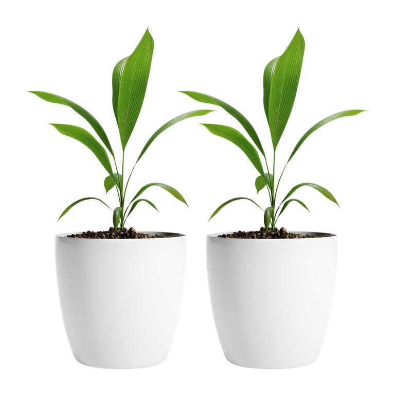 Pack X2 Maceteros De Plástico Premium 18x16 cm 3 Litros Blanco ...