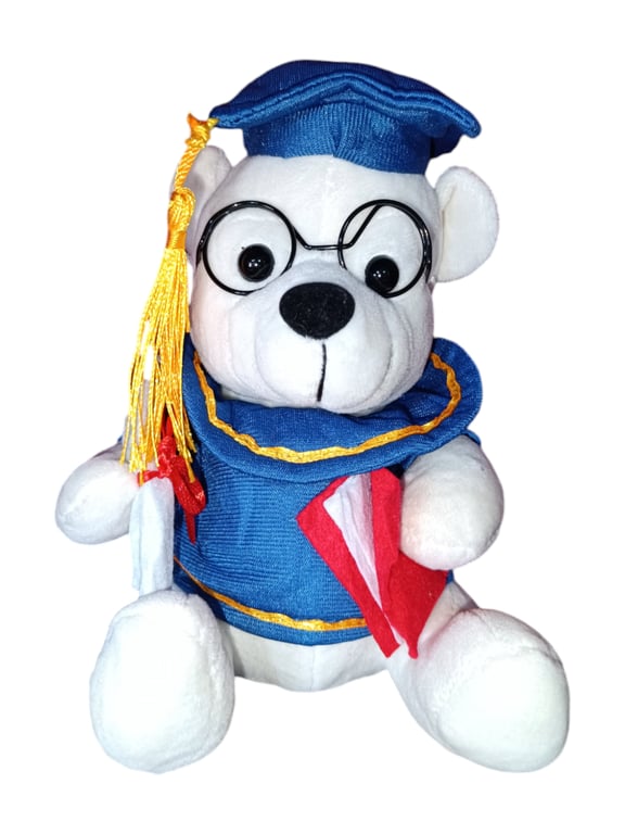 GENERICO Osito Graduado, Peluche De Graduación, Oso azul 20 cm ...