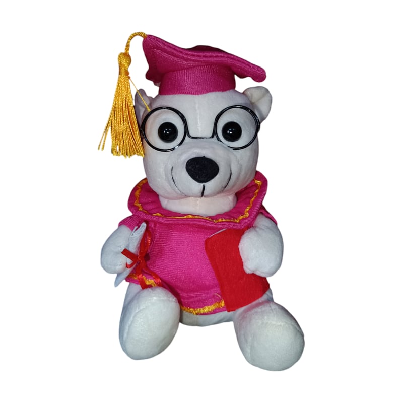 GENERICO Osito Graduado, Peluche De Graduación, Oso rosa 20 cm ...