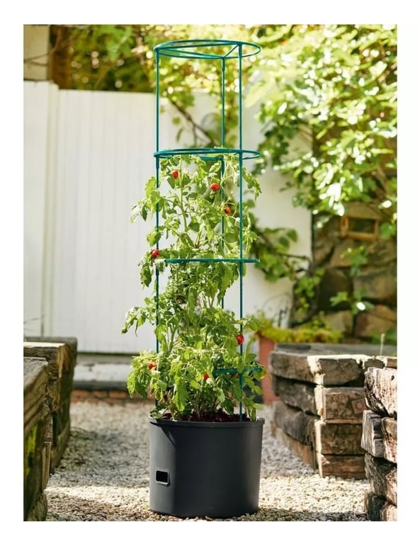 GENERICO Maceta plástica para tomates o enredaderas | falabella.com