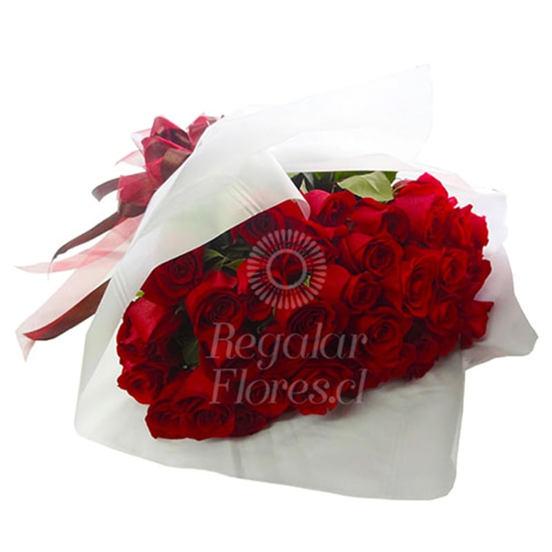 REGALAR FLORES Ramo 40 Rosas Ecuatorianas Regalar Flores | falabella.com