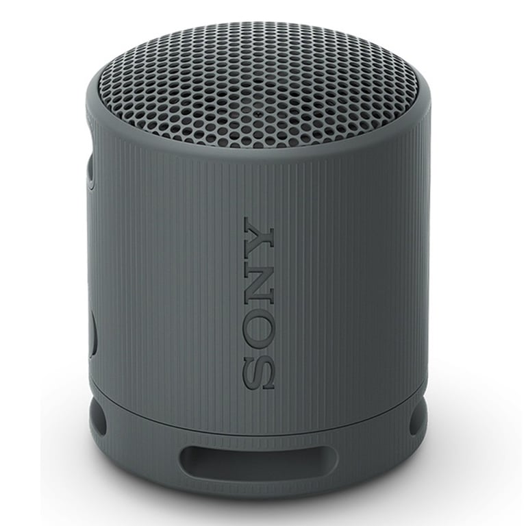 SONY Parlante Portatil Bluetooth Srs-Xb100/BCLA Sony | falabella.com