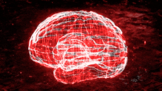 HP Notebook OMEN 16-B0500LA Intel Core i7-11800H 16GB RAM 512GB SSD ...