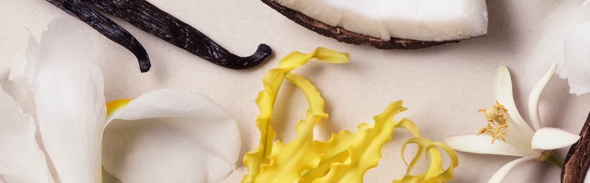 LANCOME Perfume Mujer La Vie Est Belle Soleil Cristal EDP 50Ml Edl ...