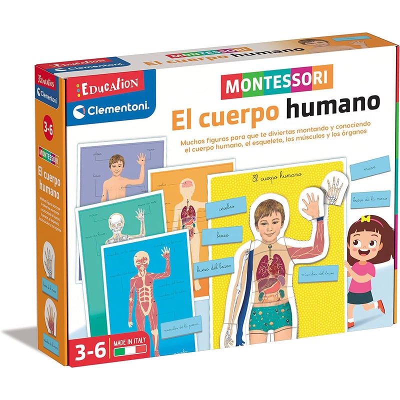 Juego Didáctico Montessori Aprendiendo El Cuerpo Humano Niño CLEMENTONI ...