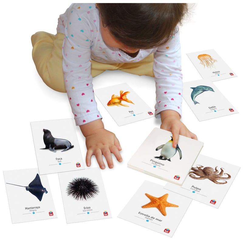 Flash Cards Animales del Agua TOOL BE | falabella.com