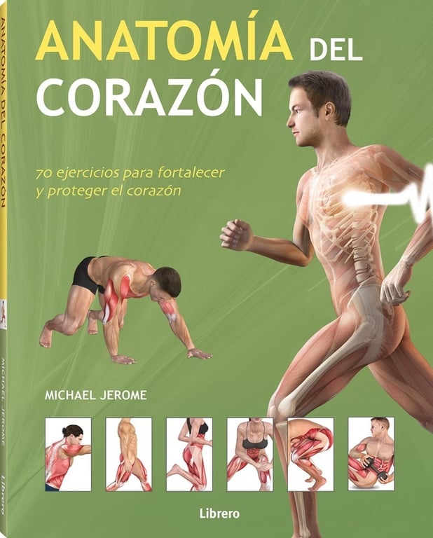 Anatomia Del Corazon: Ejercicios Para Fortalecer El Corazón GENERICO ...