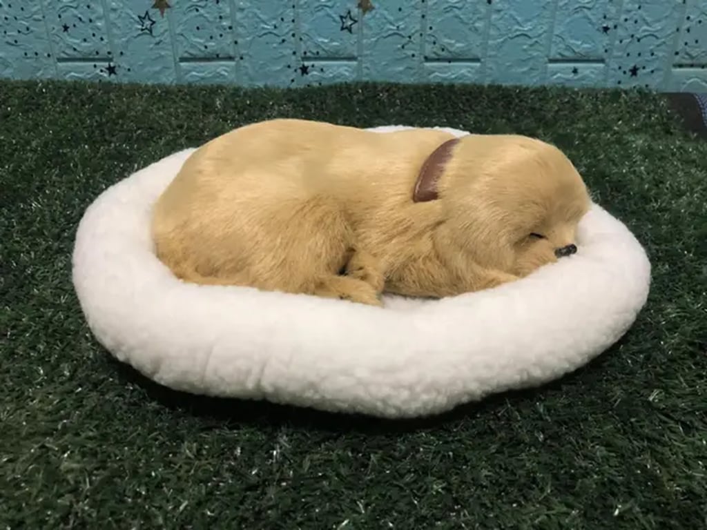 Peluche Perro Mascota Real Con Sonido Ronca Y Respira Nido GENERICO ...