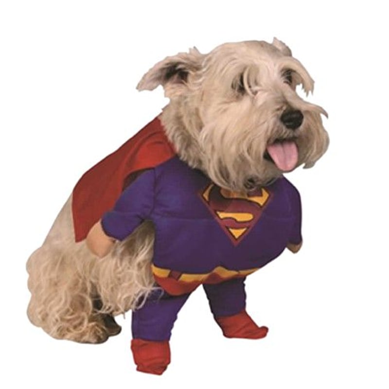 Disfraz de super perro GENERICO | falabella.com