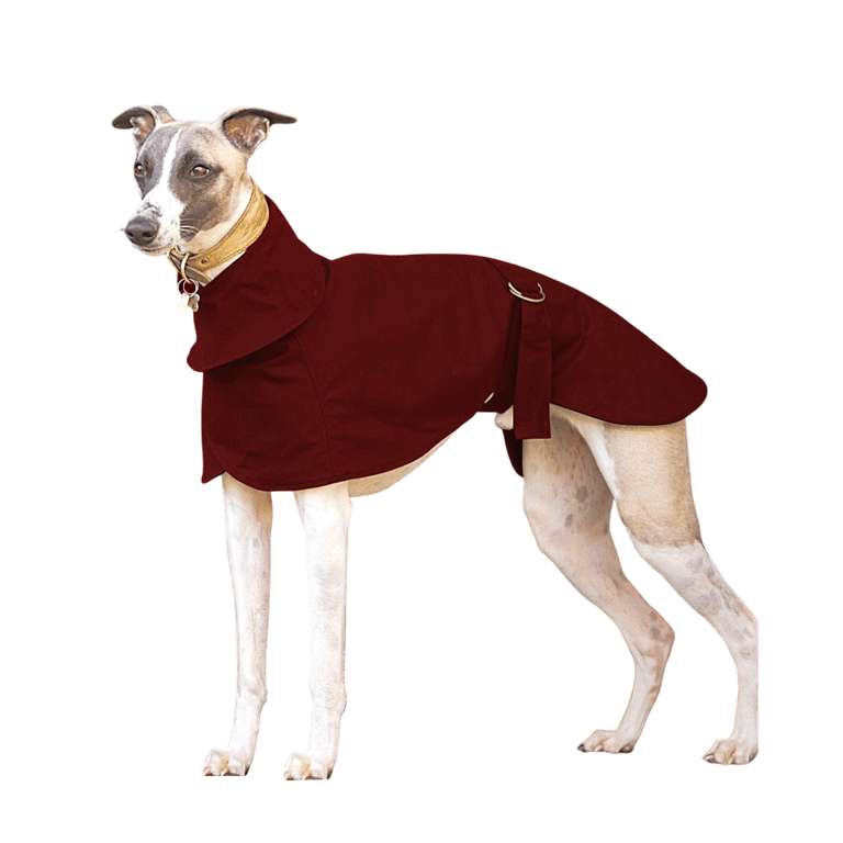 Capa para perro estilo gaban L Vino Tinto GENERICO | falabella.com