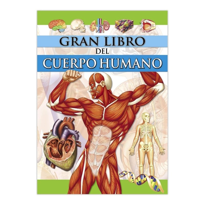 El Gran Libro Del Cuerpo Humano GENERICO | falabella.com