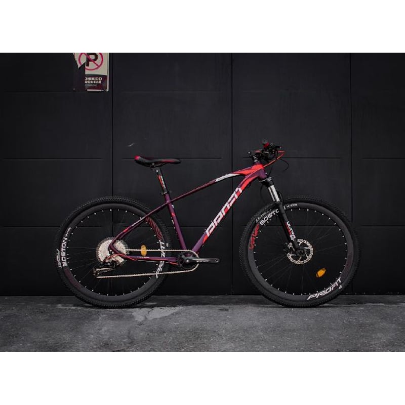 BICICLETA BOSTON ULTRA 12 VELOCIDADES ROJO NEGRO T:M OPTIMUS ...
