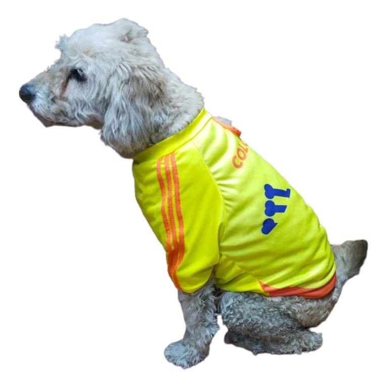 NUEVA CAMISETA DE COLOMBIA PARA PERRO Y GATO TIENDA MASKOTIKAS ...