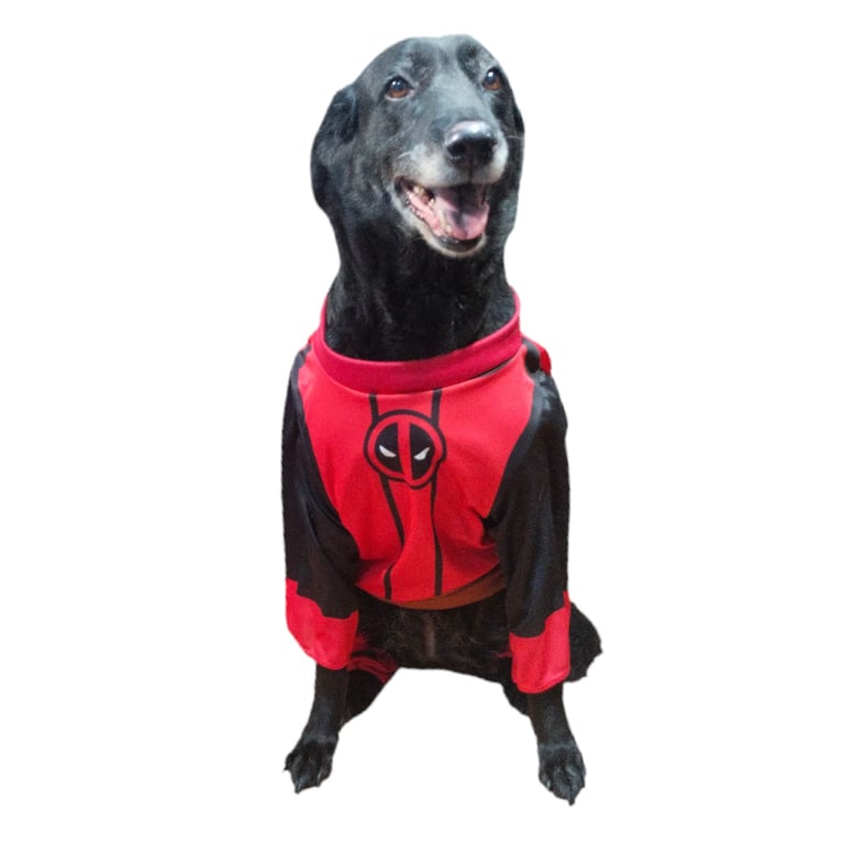 Disfraz de DeadPool DogPool para perro y gato TALLA M TIENDA MASKOTIKAS ...