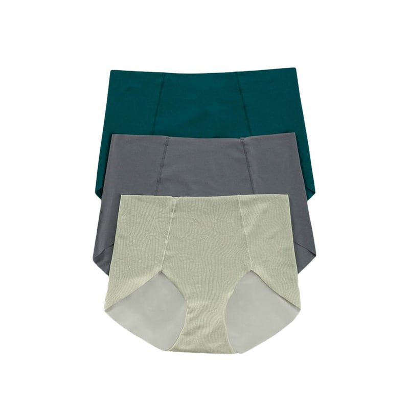 Leonisa Paquete x 3 panties clásicos de apariencia invisible LEONISA ...