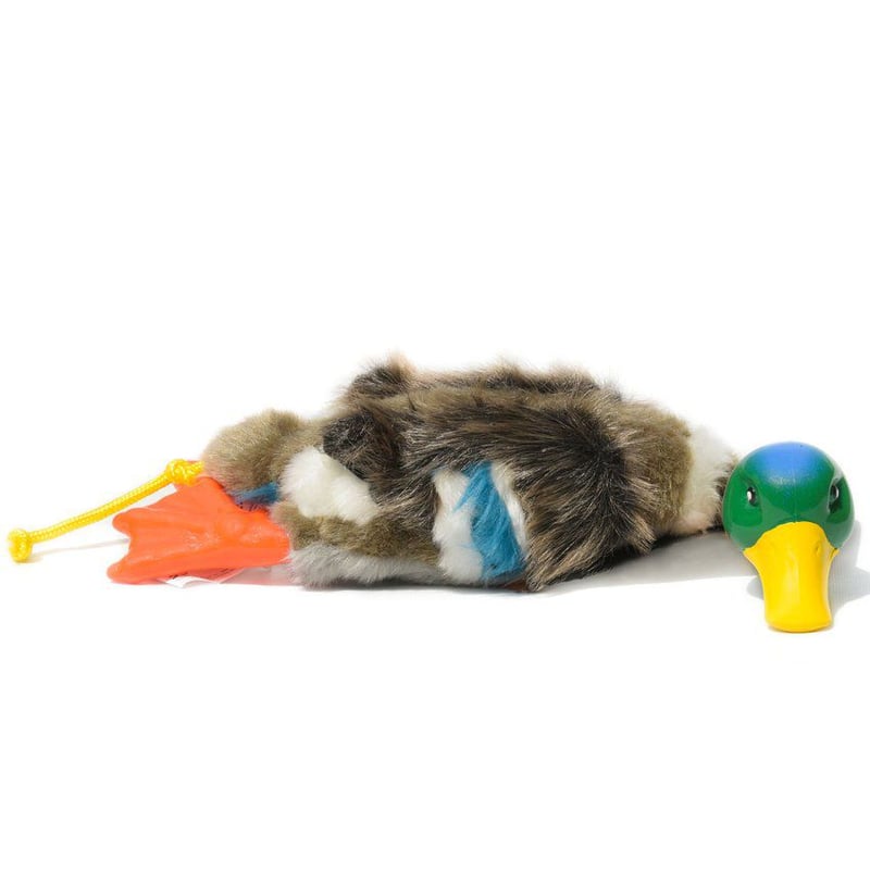 Atrapa al pato real para perros ALL FOR PAWS | falabella.com