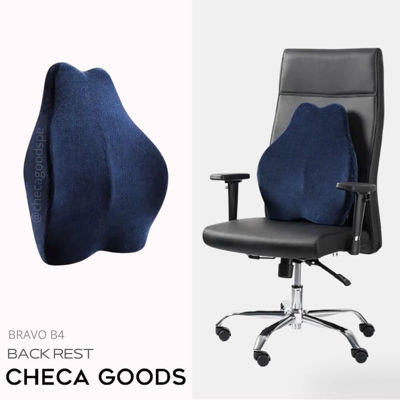 Respaldar para cuidado de Espalda Ergonómico Checa Goods B4 Azul ...