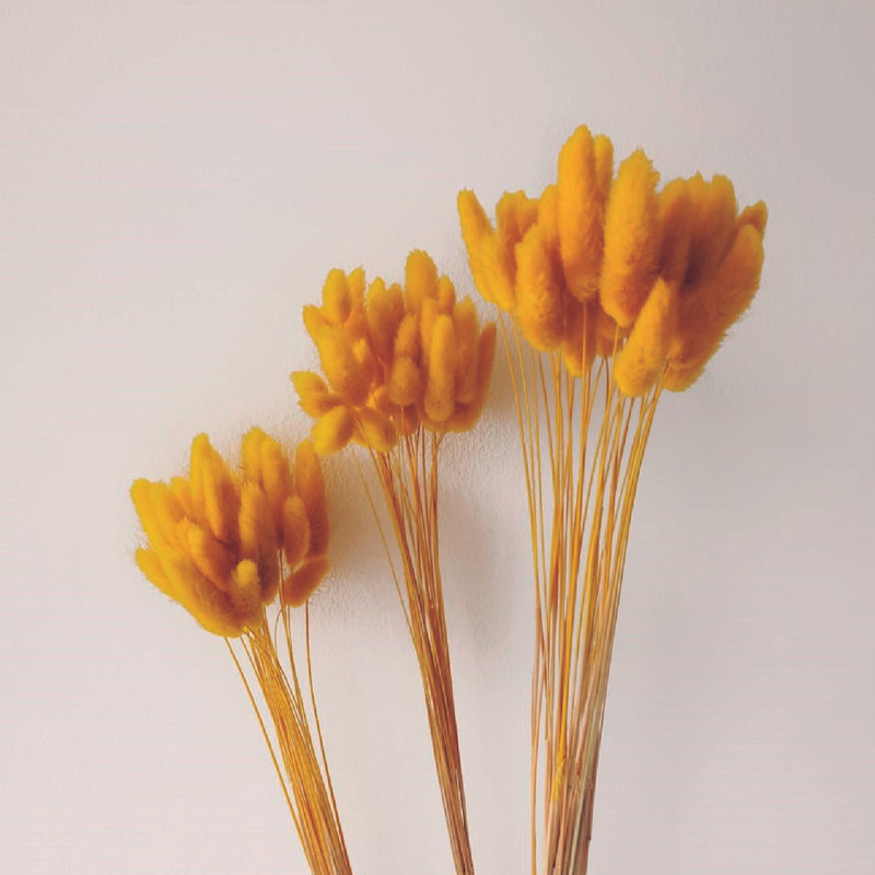 Pack de colitas de conejo amarillas x 3 ramos DECORA FLORES | falabella.com