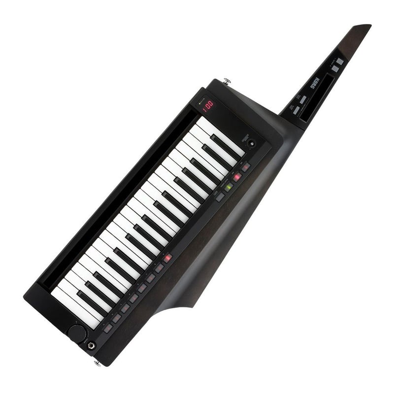 Keytar - KORG - RK-100 S2 BK KORG | falabella.com