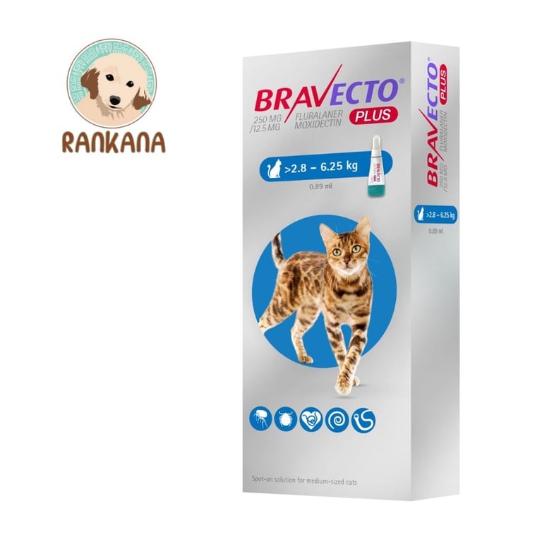Antipulgas Bravecto Plus para GATOS de 2.8 a 6.25 kg BRAVECTO | falabella.com